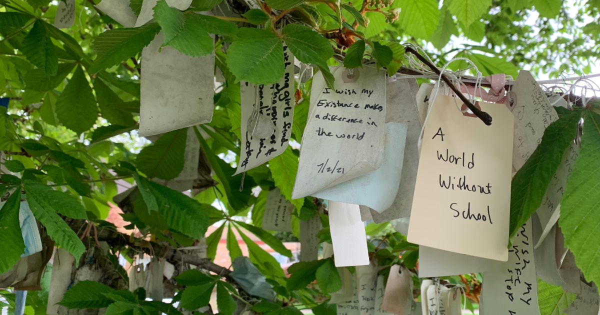 “A World Without School” Collection | Alliance for Self-Directed Education